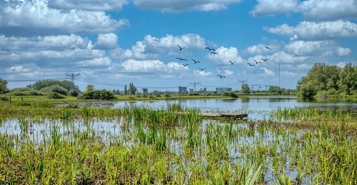 Trainee Wet Natuurbescherming bij ODBN